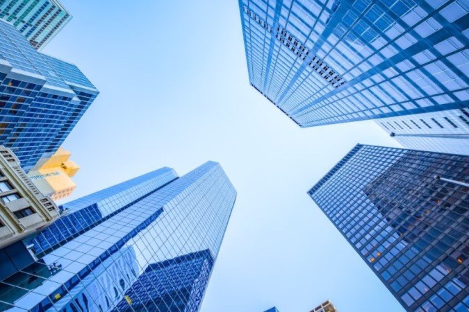 2020 Lessons Learned: Adapt and Thrive - G2M Insights